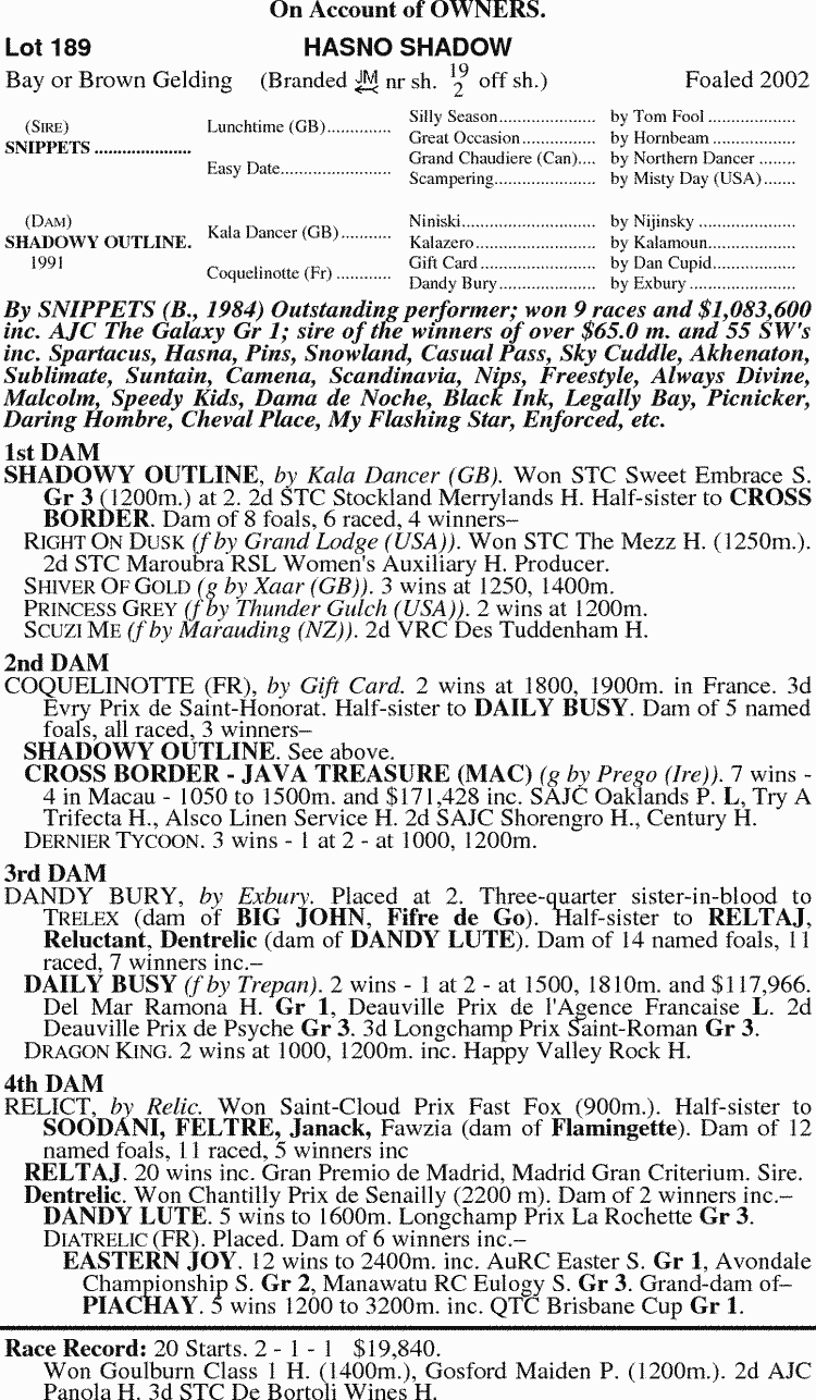 Hasno Shadow Thoroughbred Horse Profile - Next Race, Form, Stats, News ...