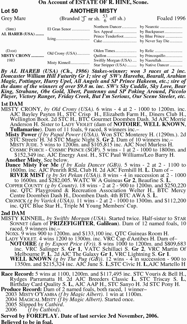 Another Misty Thoroughbred Horse Profile - Next Race, Form, Stats, News ...
