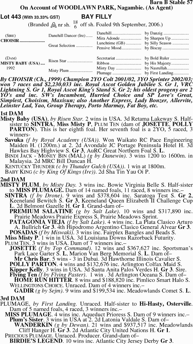 Choisir Baby Thoroughbred Horse Profile - Next Race, Form, Stats, News ...