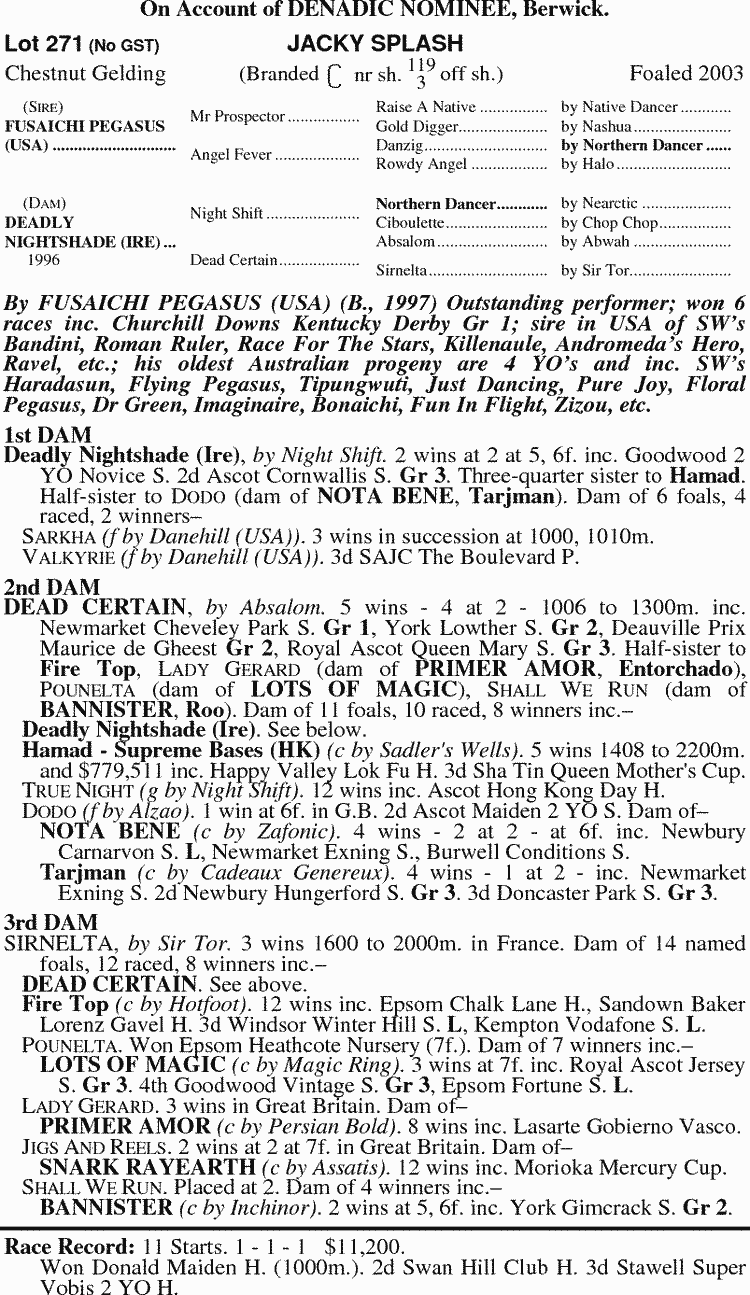 Jacky Splash Thoroughbred Horse Profile - Next Race, Form, Stats, News ...