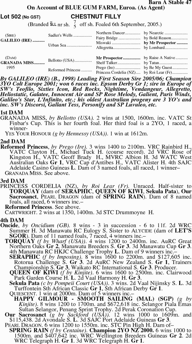 Surefirerose Thoroughbred Horse Profile - Next Race, Form, Stats, News ...