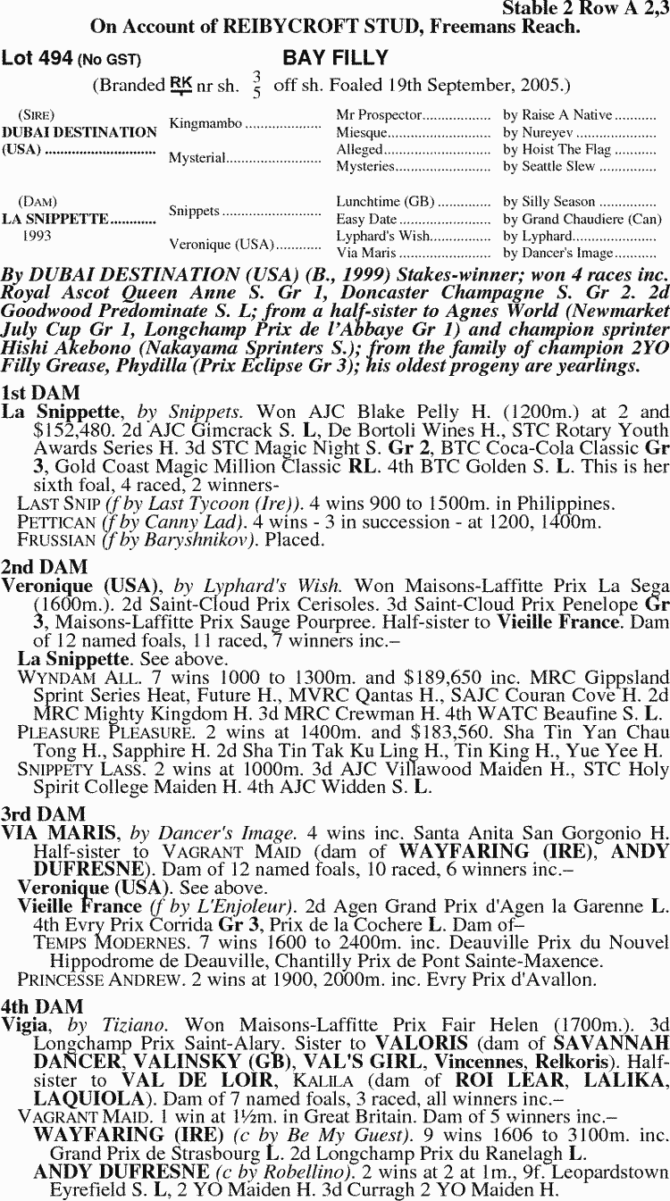 Persian Palace Thoroughbred Horse Profile - Next Race, Form, Stats ...
