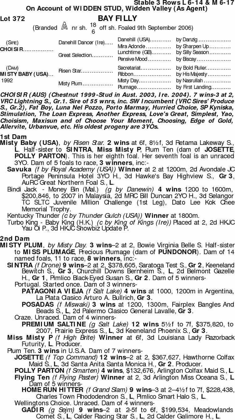 Choisir Baby Thoroughbred Horse Profile - Next Race, Form, Stats, News ...