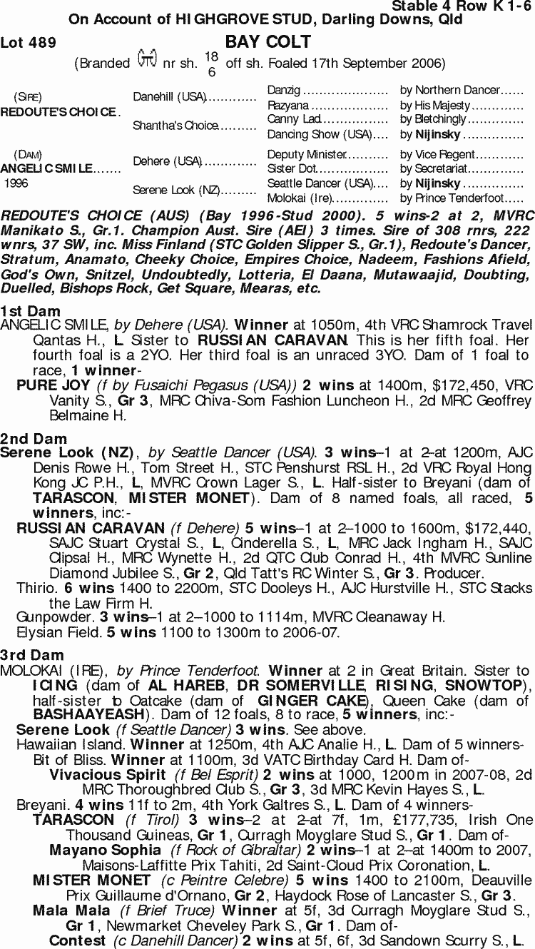 Sigma Thoroughbred Horse Profile - Next Race, Form, Stats, News ...
