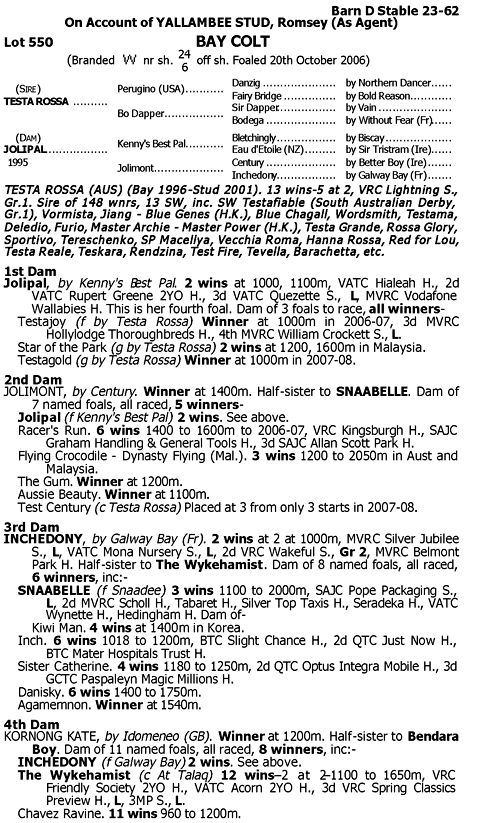 Testapal Thoroughbred Horse Profile - Next Race, Form, Stats, News ...