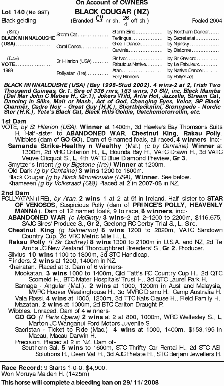 Black Cougar Thoroughbred Horse Profile - Next Race, Form, Stats, News ...