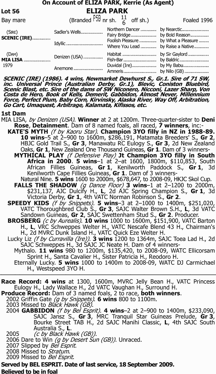 Eliza Park Thoroughbred Horse Profile - Next Race, Form, Stats, News ...