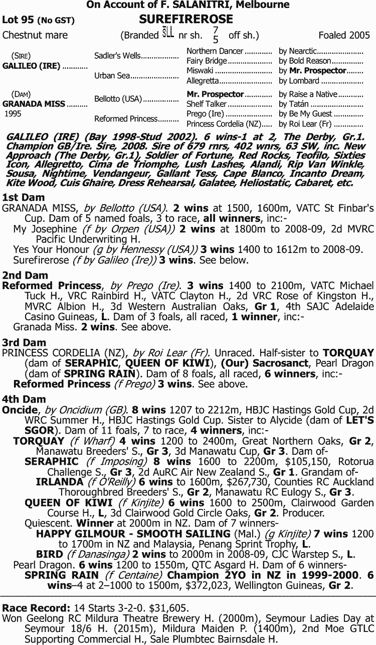 Surefirerose Thoroughbred Horse Profile - Next Race, Form, Stats, News ...