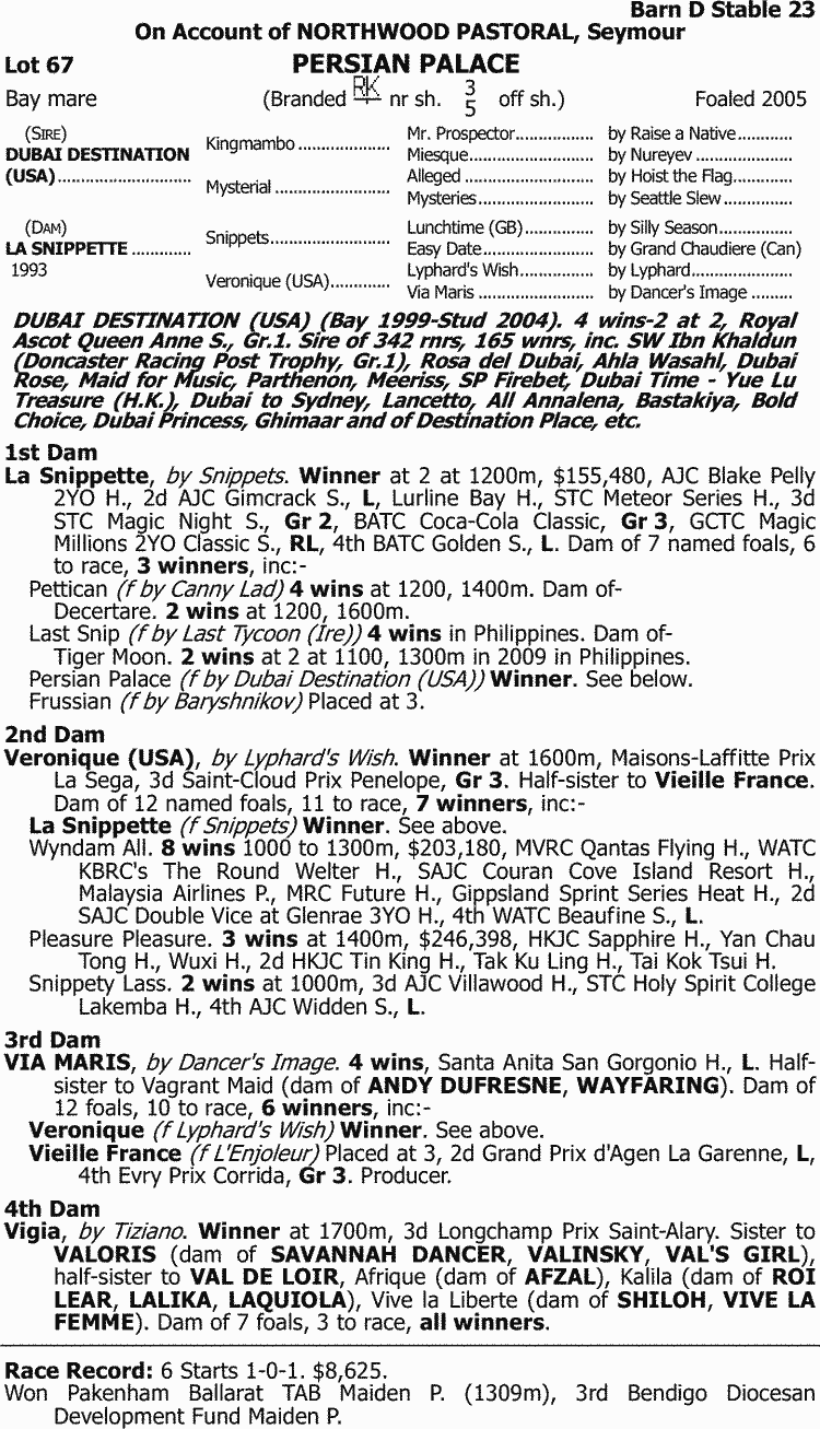 Persian Palace Thoroughbred Horse Profile - Next Race, Form, Stats ...
