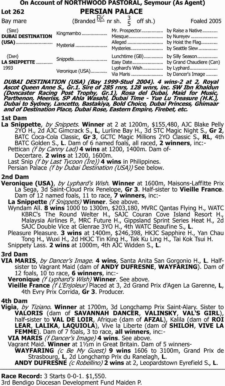 Persian Palace Thoroughbred Horse Profile - Next Race, Form, Stats ...