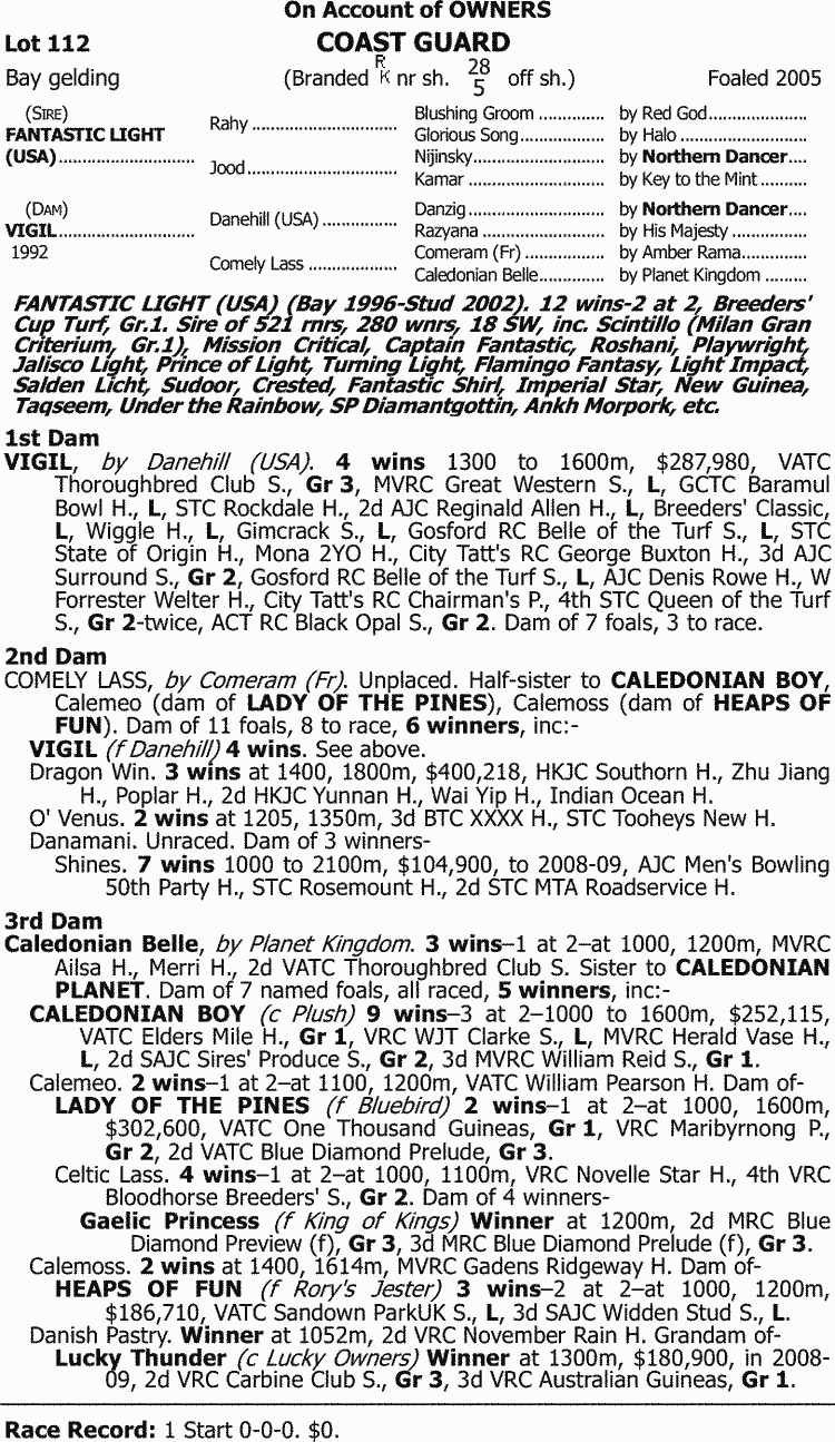Coast Guard Thoroughbred Horse Profile - Next Race, Form, Stats, News ...
