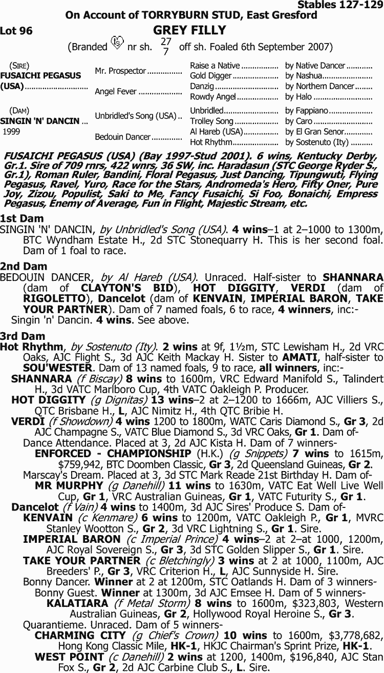 Misty Pegasus Thoroughbred Horse Profile - Next Race, Form, Stats, News ...