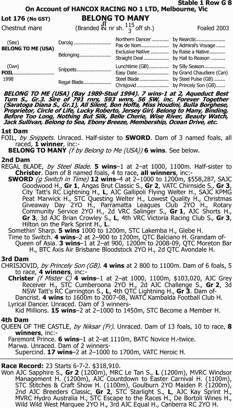 Belong To Many Thoroughbred Horse Profile - Next Race, Form, Stats ...