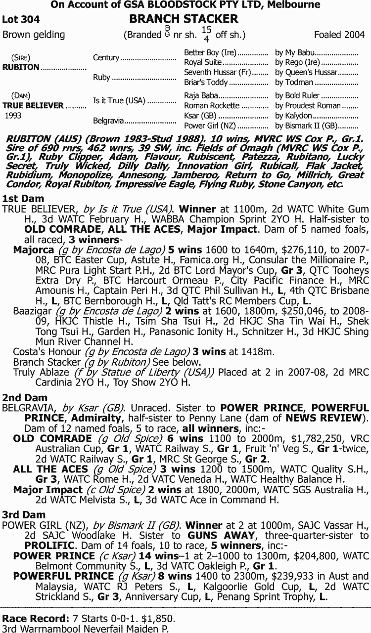 Branch Stacker Thoroughbred Horse Profile - Next Race, Form, Stats ...