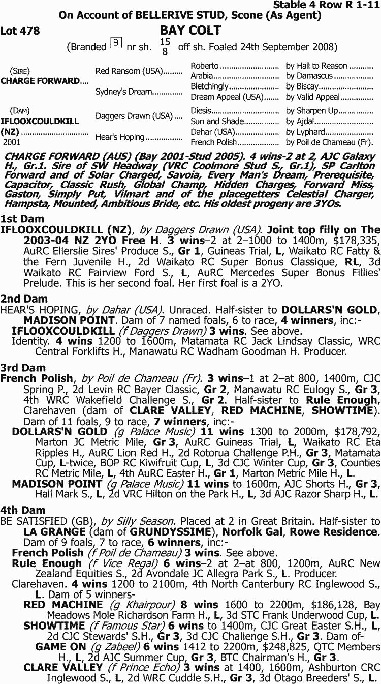 True Edge Thoroughbred Horse Profile - Next Race, Form, Stats, News ...