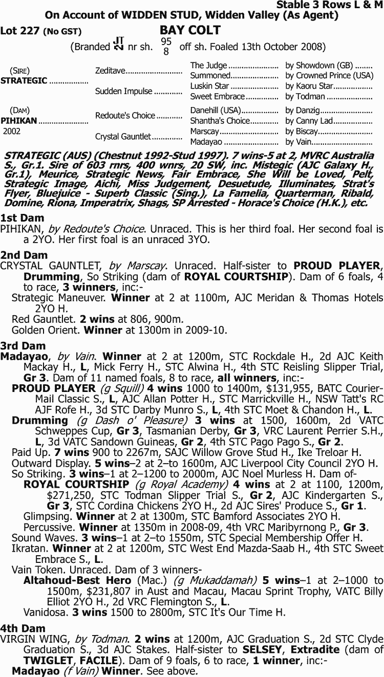 Upstacker Thoroughbred Horse Profile - Next Race, Form, Stats, News ...