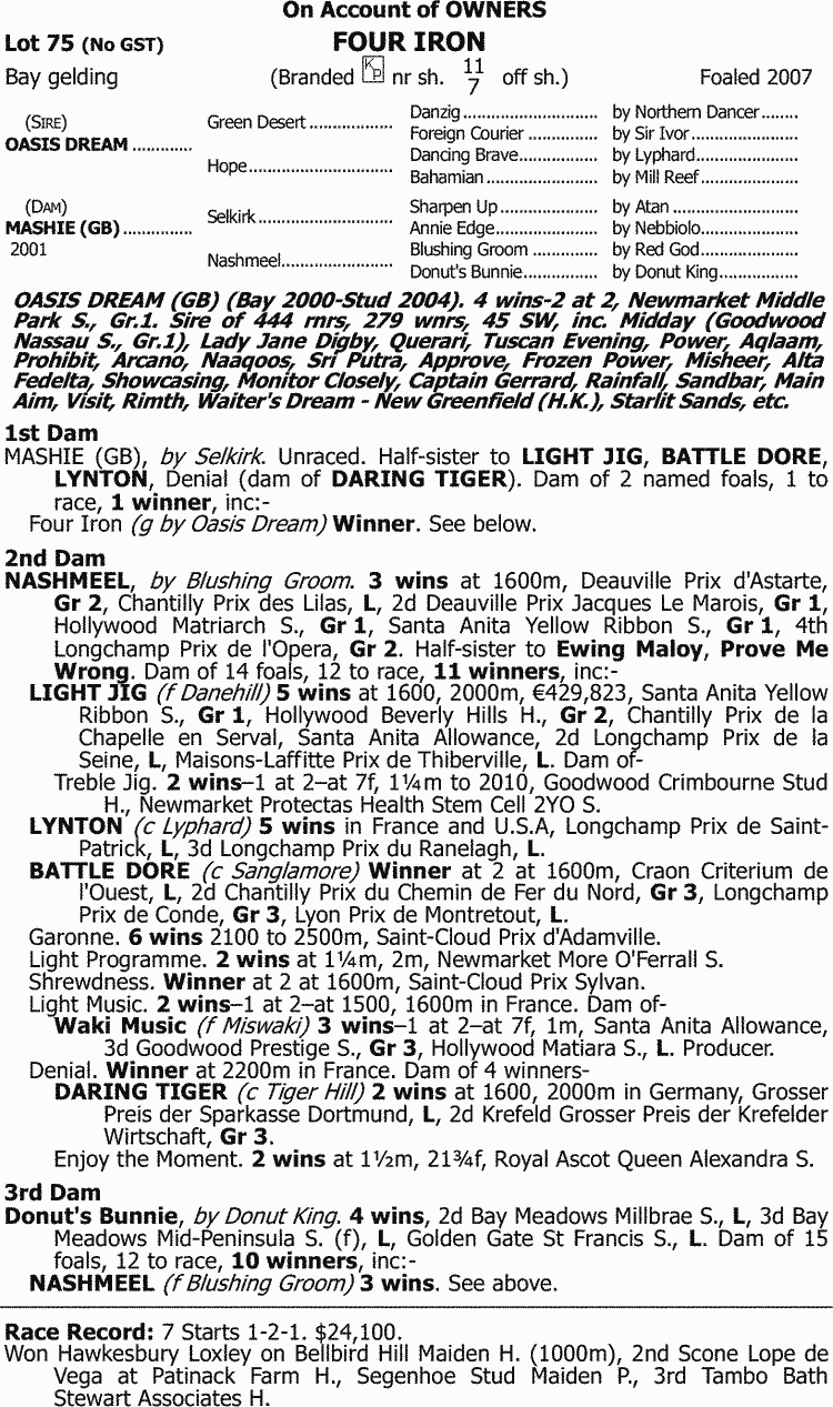 Four Iron Thoroughbred Horse Profile - Next Race, Form, Stats, News ...