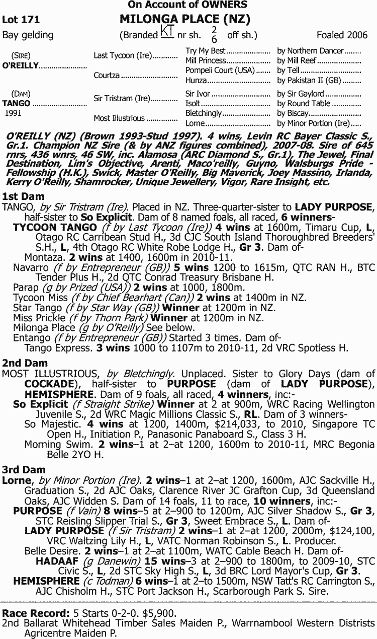 Milonga Place Thoroughbred Horse Profile - Next Race, Form, Stats, News ...