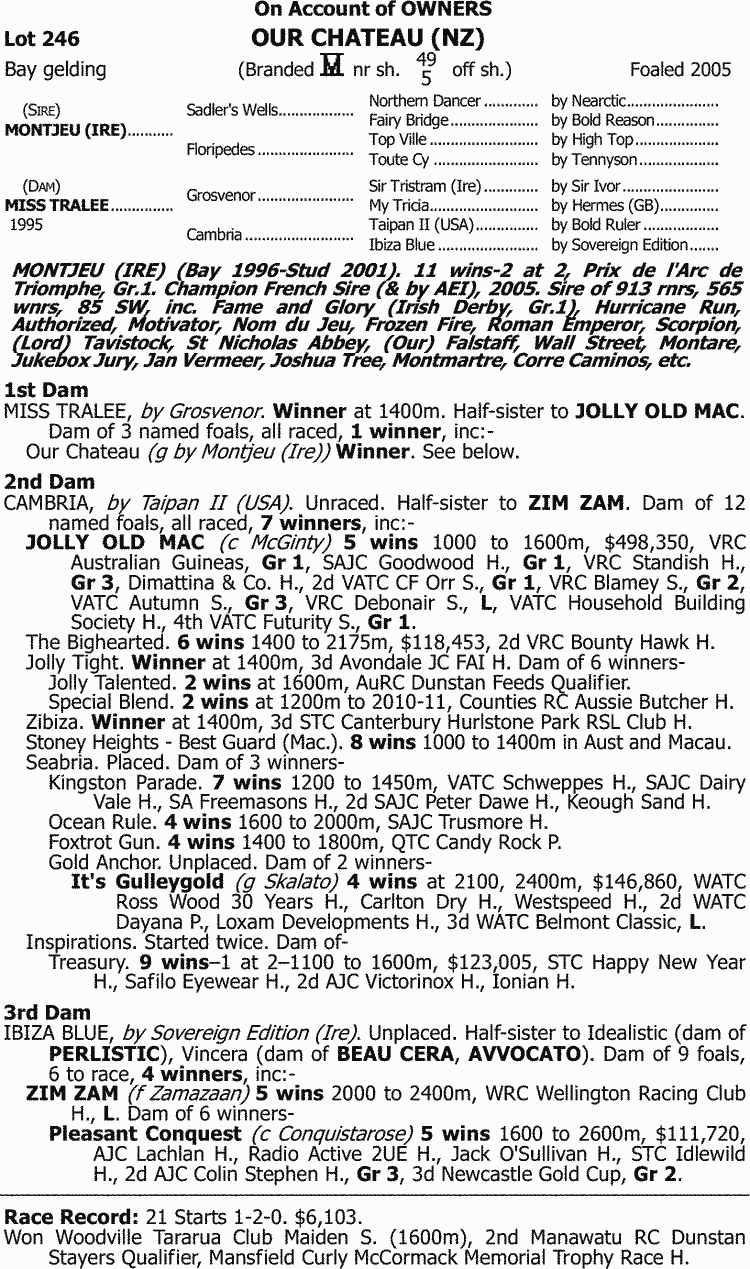 Our Chateau Thoroughbred Horse Profile - Next Race, Form, Stats, News ...