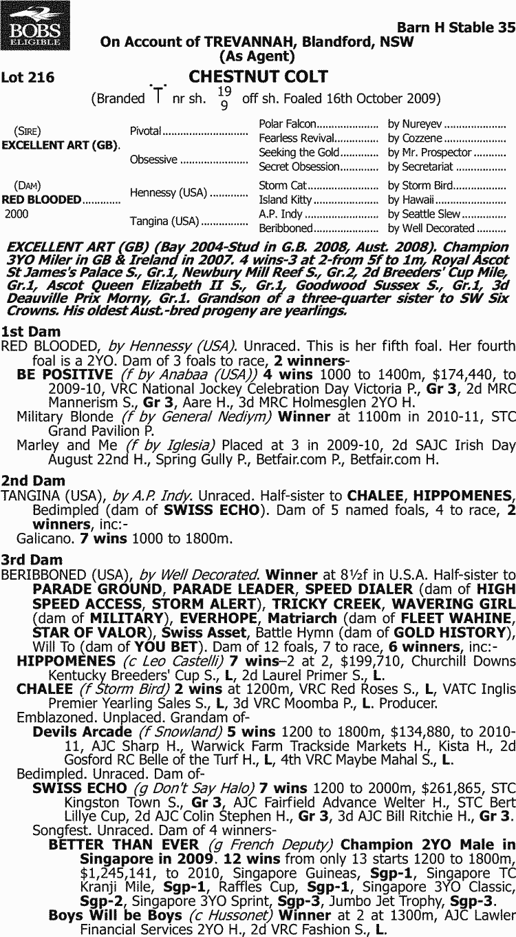 The Red Baron Thoroughbred Horse Profile - Next Race, Form, Stats, News ...