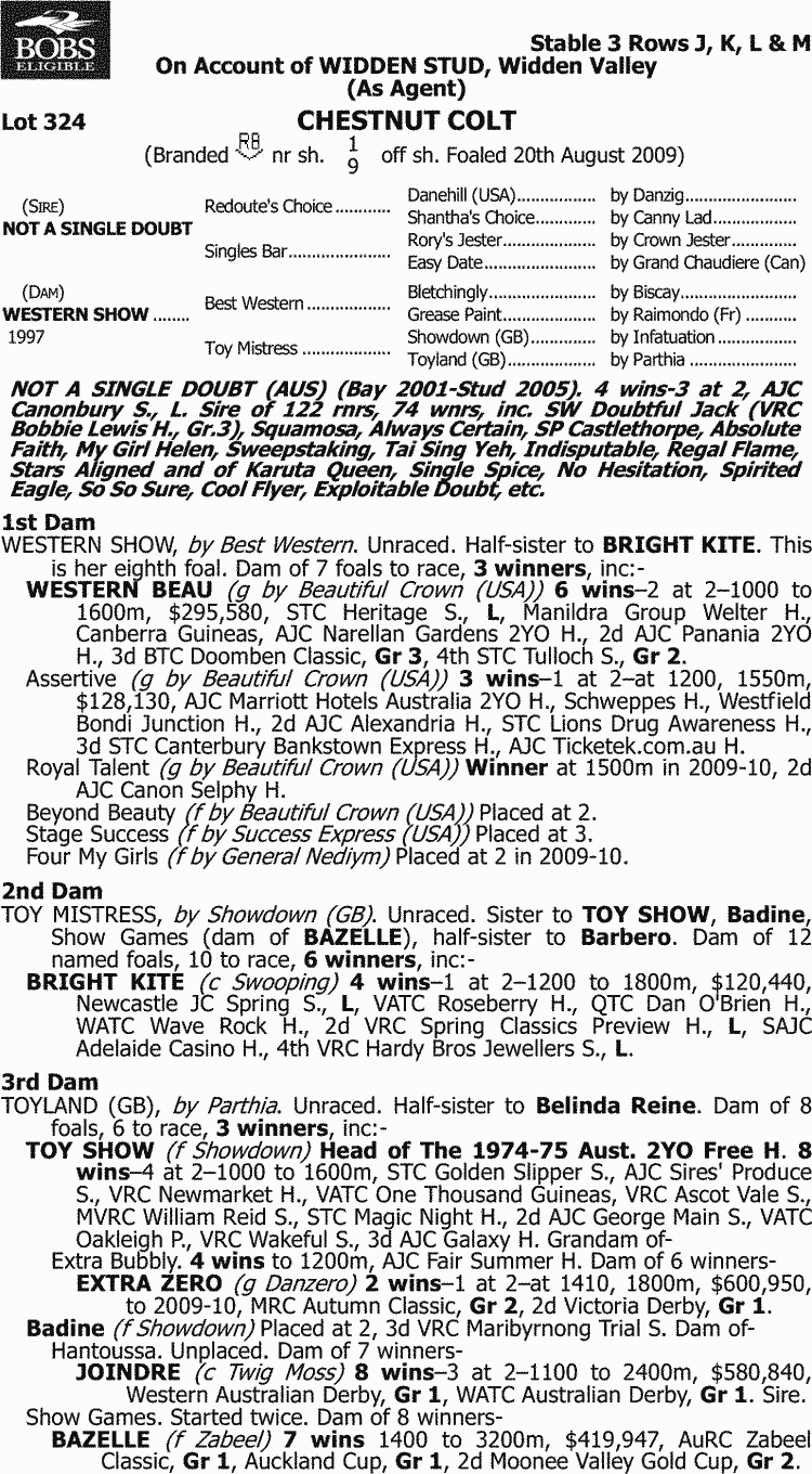 Showtime Charlie Thoroughbred Horse Profile - Next Race, Form, Stats ...