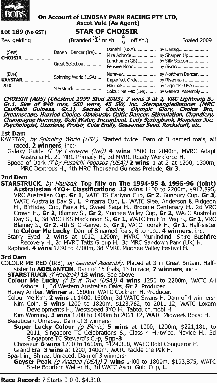 Star Of Choisir Thoroughbred Horse Profile - Next Race, Form, Stats ...
