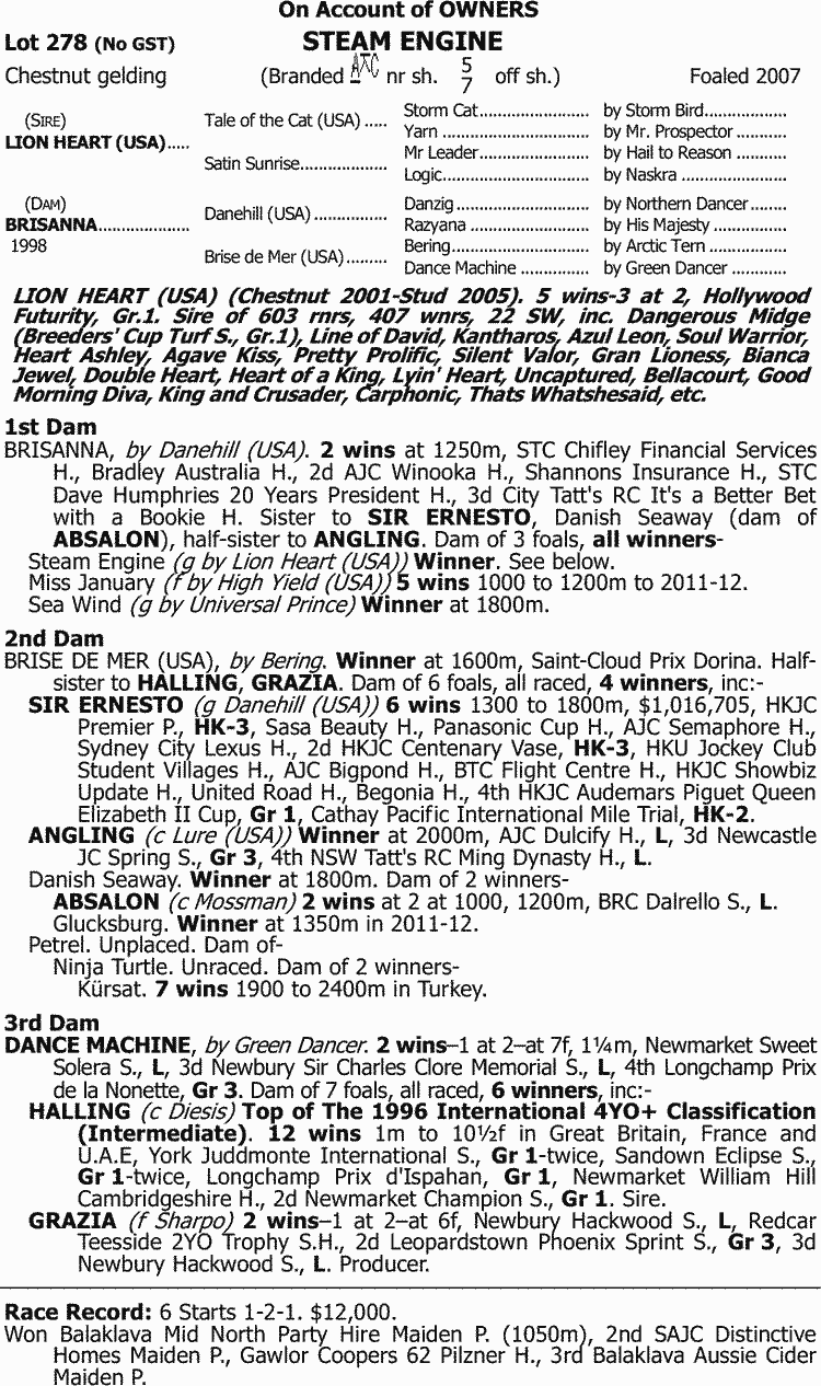 Steam Engine Thoroughbred Horse Profile - Next Race, Form, Stats, News ...