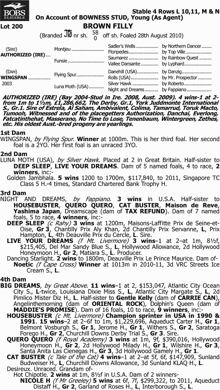 Touchdown Miss Thoroughbred Horse Profile - Next Race, Form, Stats ...