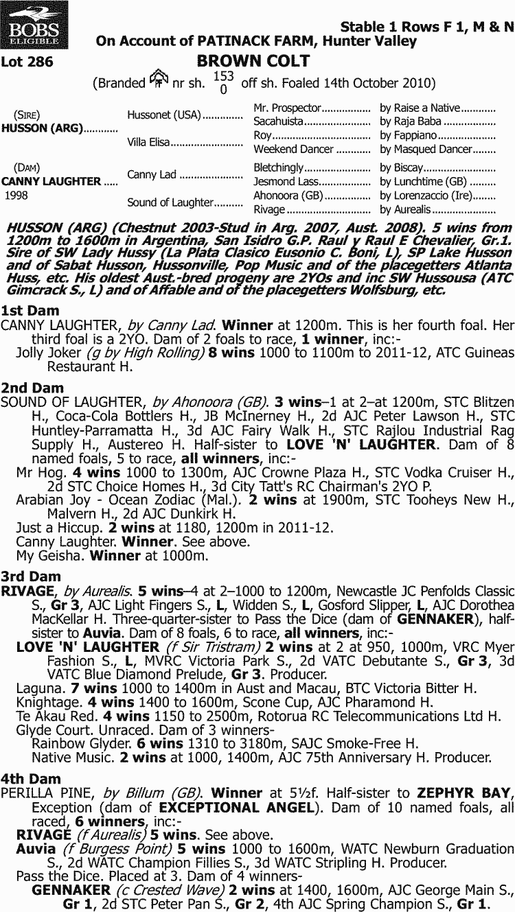 Mr Tangalanga Thoroughbred Horse Profile - Next Race, Form, Stats, News ...