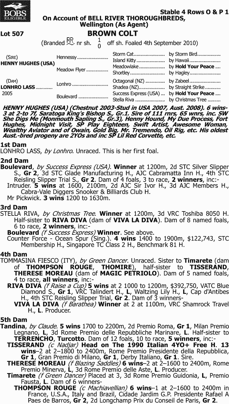 In Like Flynn Thoroughbred Horse Profile - Next Race, Form, Stats, News ...