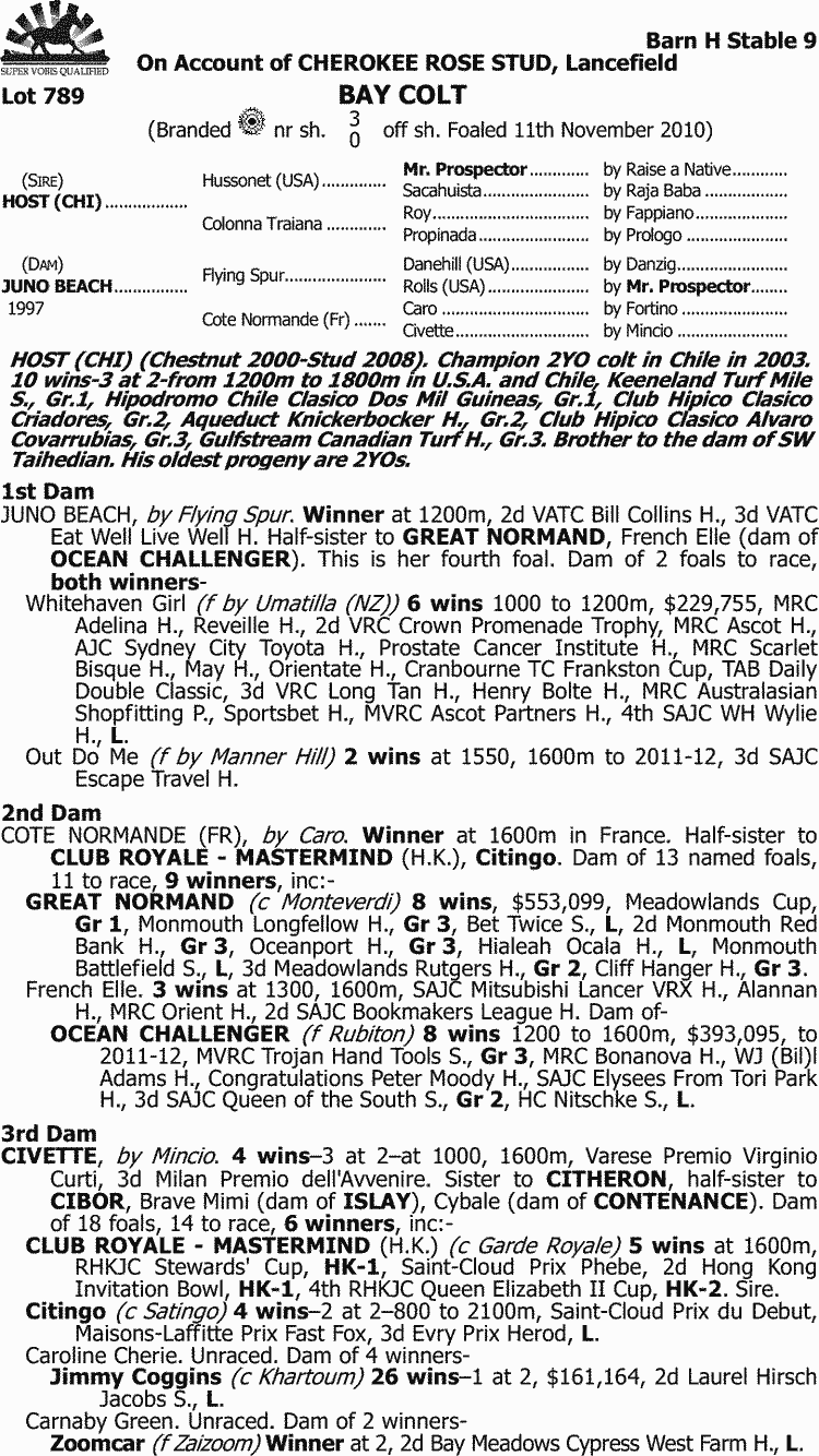 Welcome Invader Thoroughbred Horse Profile - Next Race, Form, Stats ...