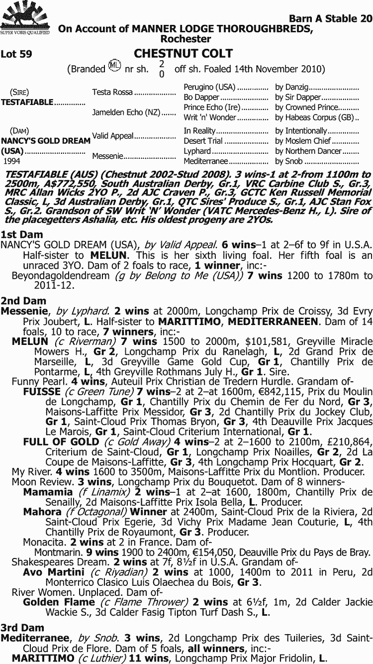 Golden Gee Thoroughbred Horse Profile - Next Race, Form, Stats, News ...