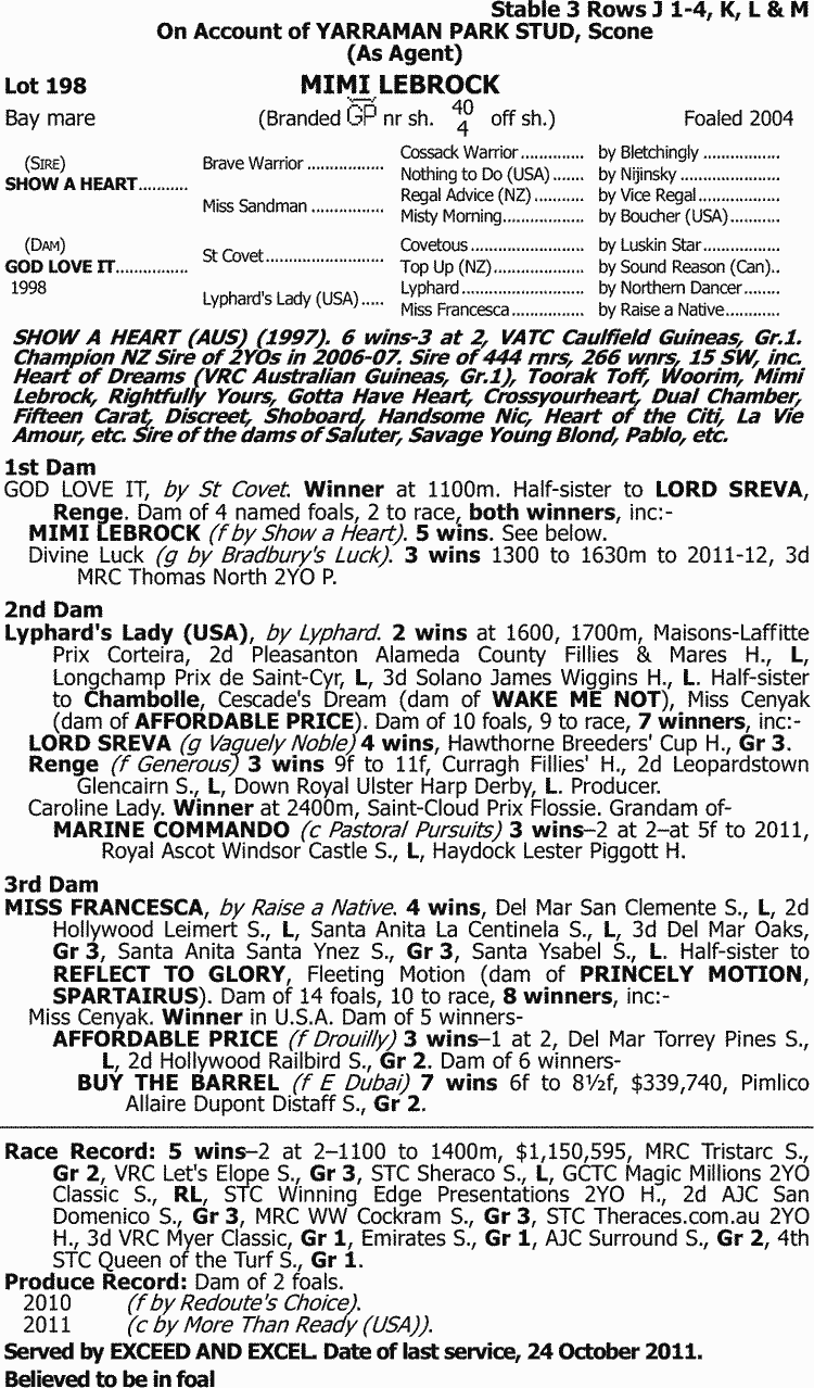 Mimi Lebrock Thoroughbred Horse Profile - Next Race, Form, Stats, News ...