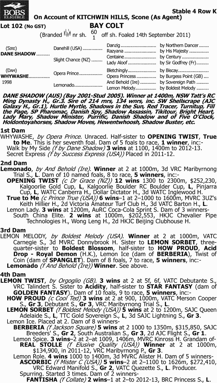 Misty Shadow Thoroughbred Horse Profile - Next Race, Form, Stats, News ...