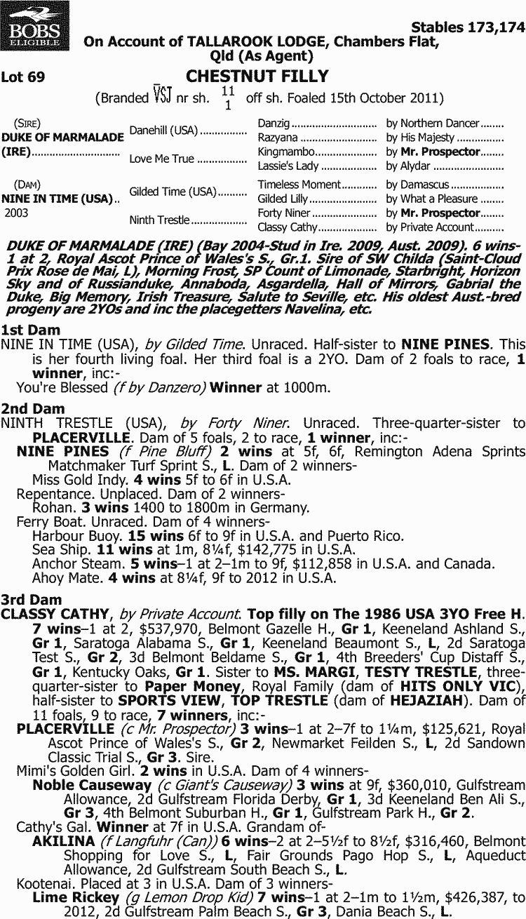 Lady Marmaletta Thoroughbred Horse Profile - Next Race, Form, Stats ...