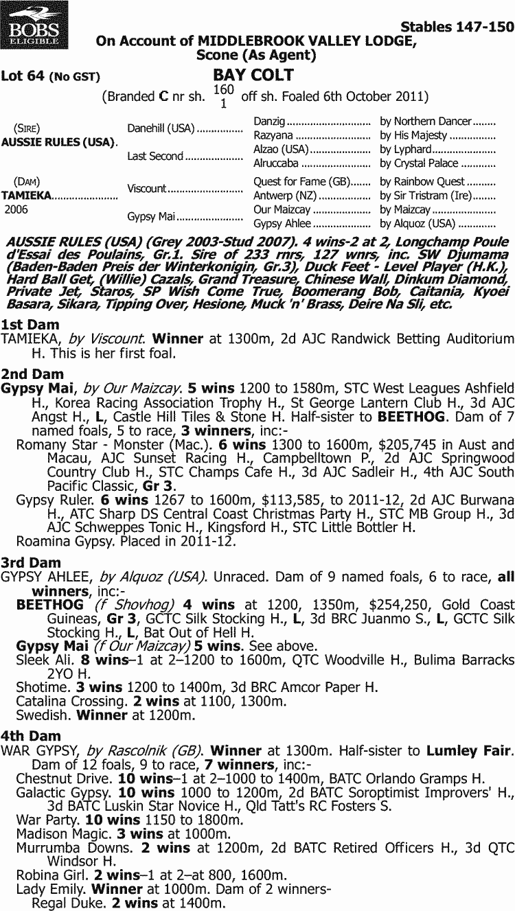 Blinkin Aussie Thoroughbred Horse Profile - Next Race, Form, Stats ...