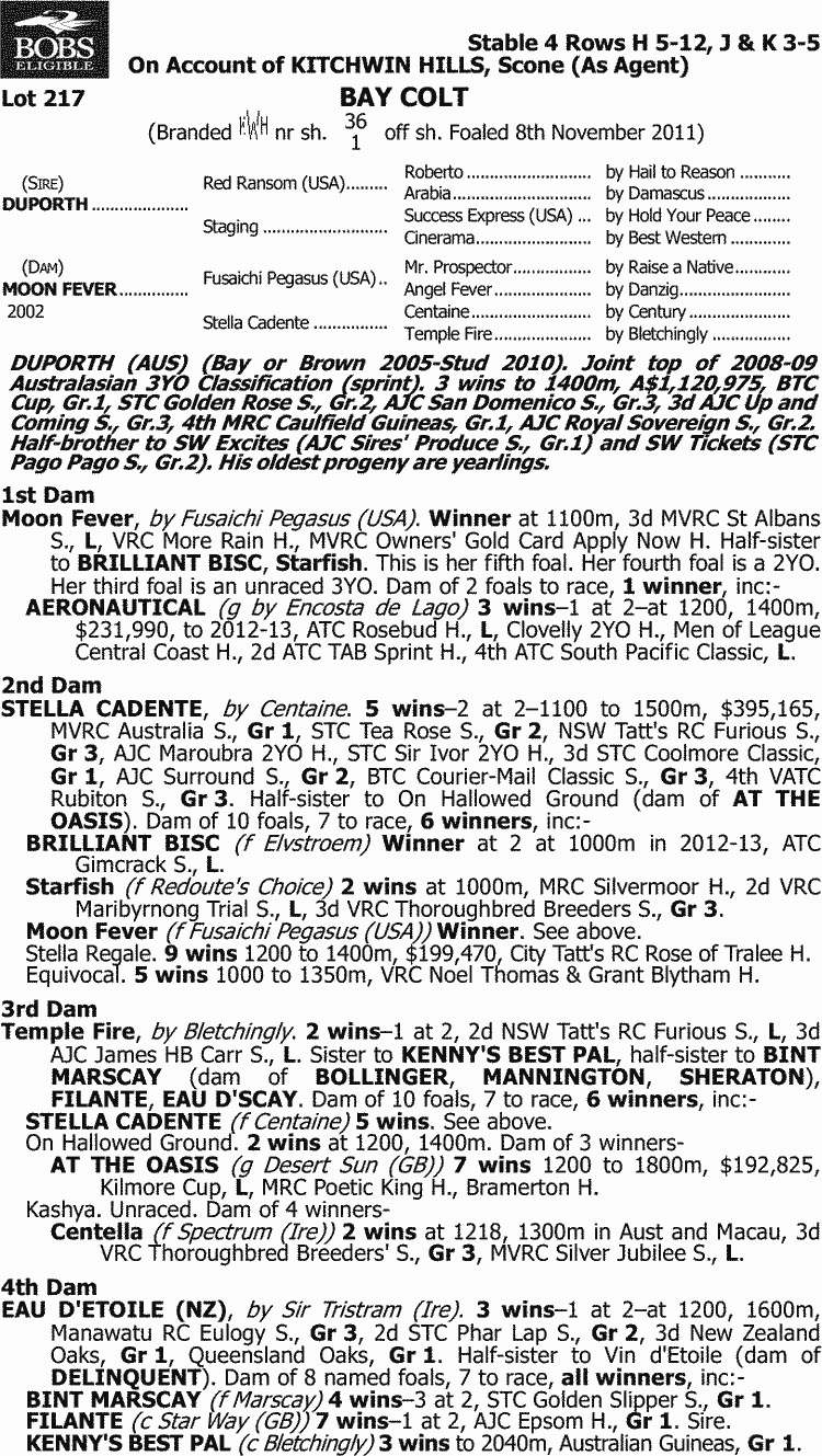 Dashing Fellow Thoroughbred Horse Profile - Next Race, Form, Stats ...