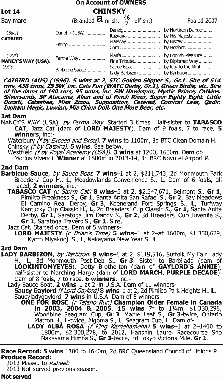 Chinsky Thoroughbred Horse Profile - Next Race, Form, Stats, News ...