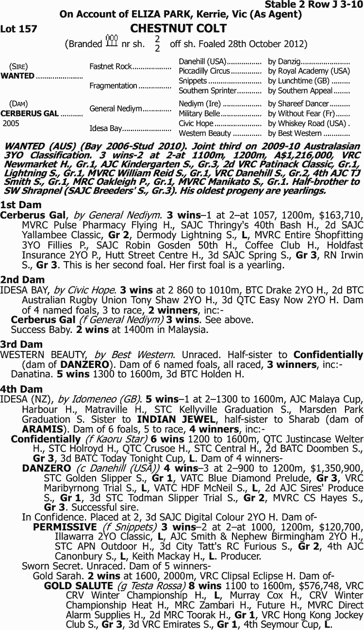 Wanted Trio Thoroughbred Horse Profile - Next Race, Form, Stats, News ...