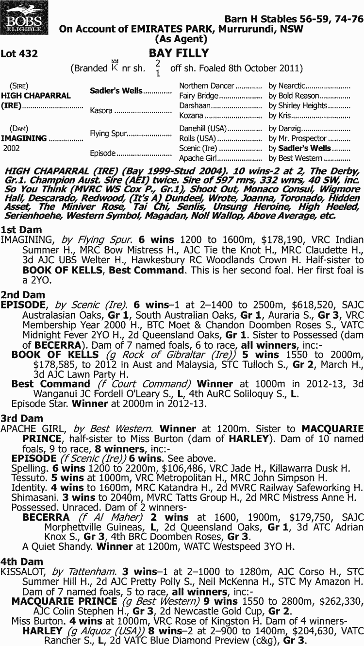 Prairie Flyer Thoroughbred Horse Profile - Next Race, Form, Stats, News ...