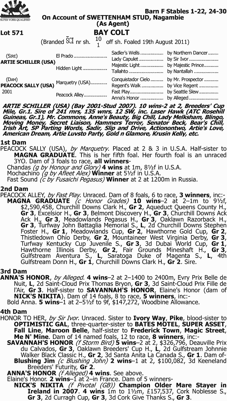 Partie Artie Thoroughbred Horse Profile - Next Race, Form, Stats, News ...