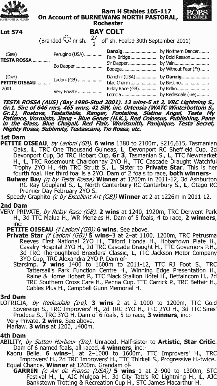 Lionheart Man Thoroughbred Horse Profile - Next Race, Form, Stats, News ...
