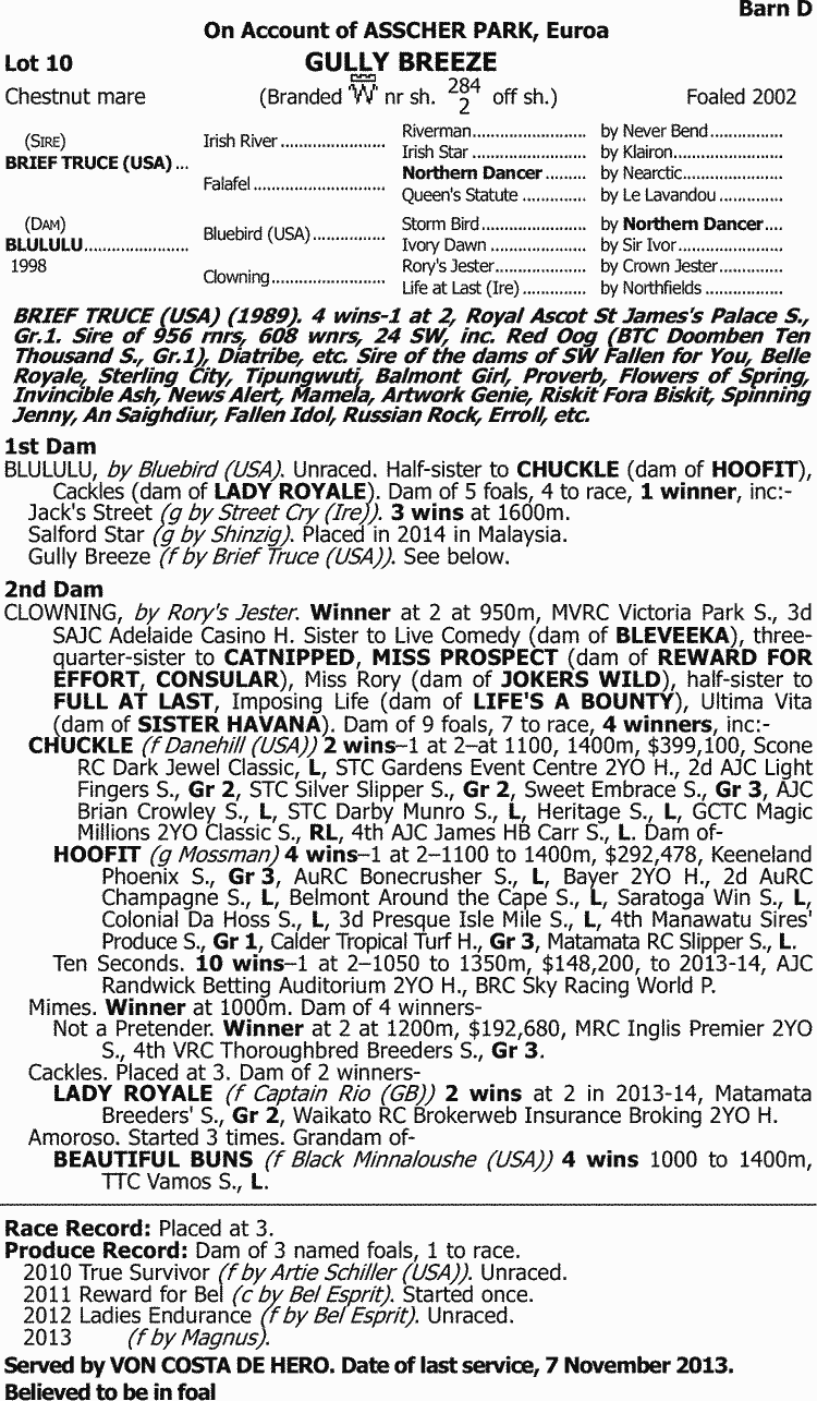 Gully Breeze Thoroughbred Horse Profile - Next Race, Form, Stats, News ...
