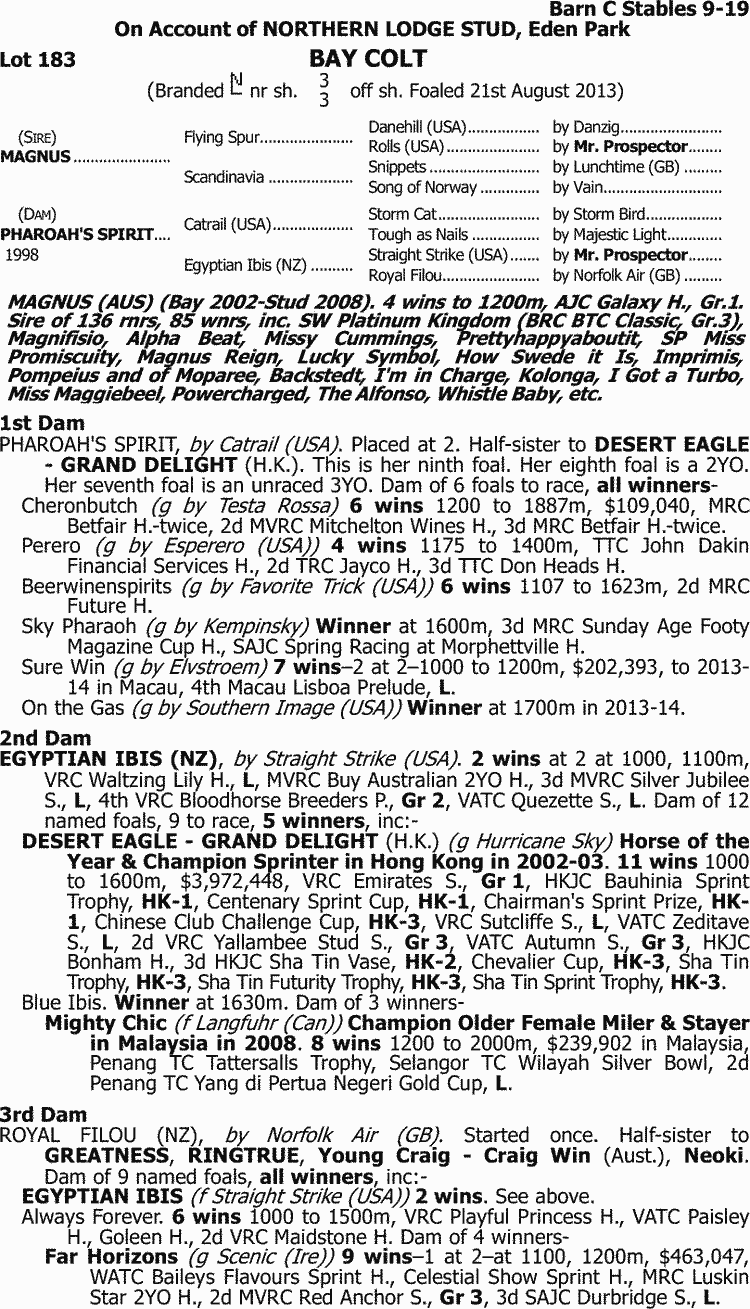 Eagle Spirit Thoroughbred Horse Profile - Next Race, Form, Stats, News ...