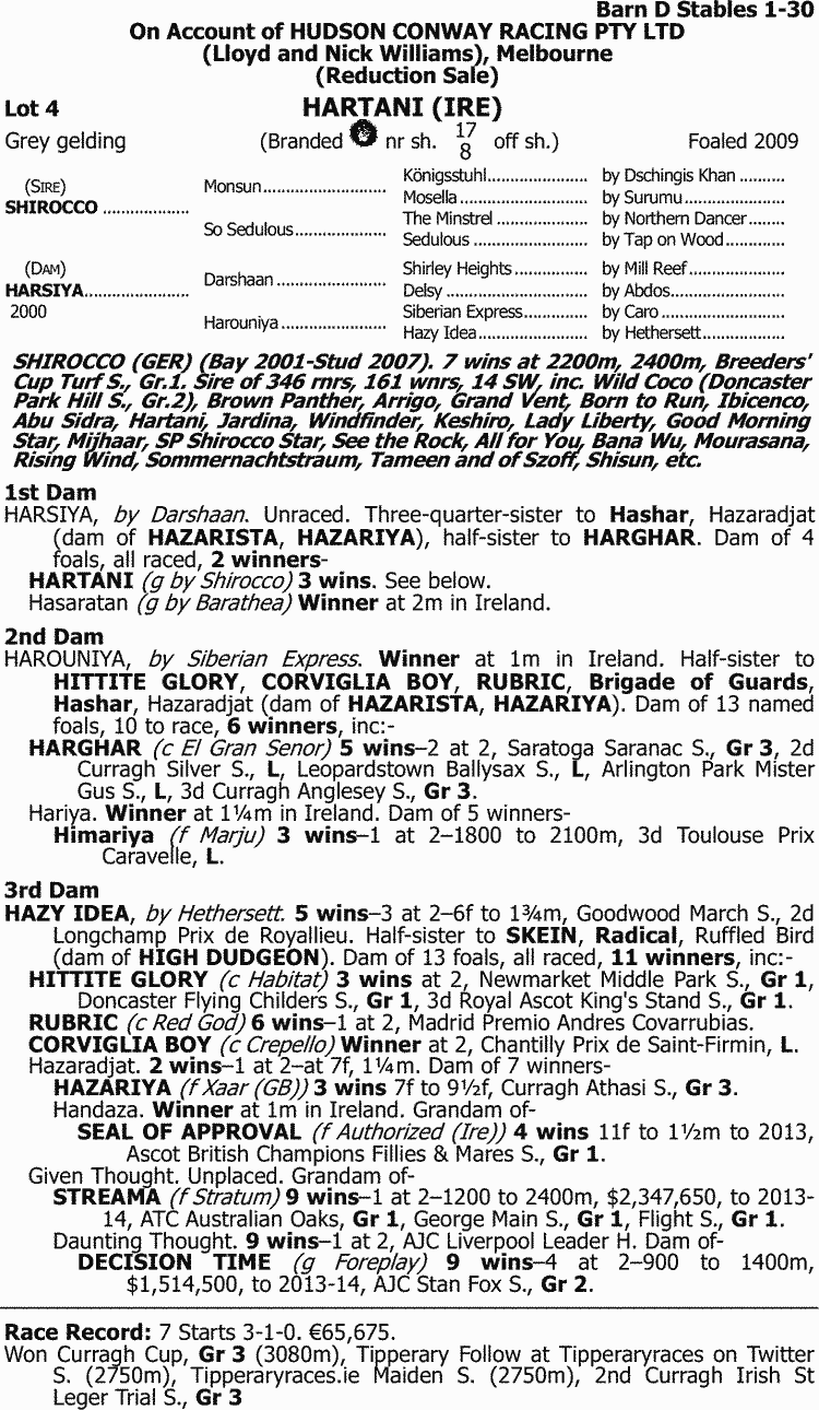 Hartani Thoroughbred Horse Profile - Next Race, Form, Stats, News ...