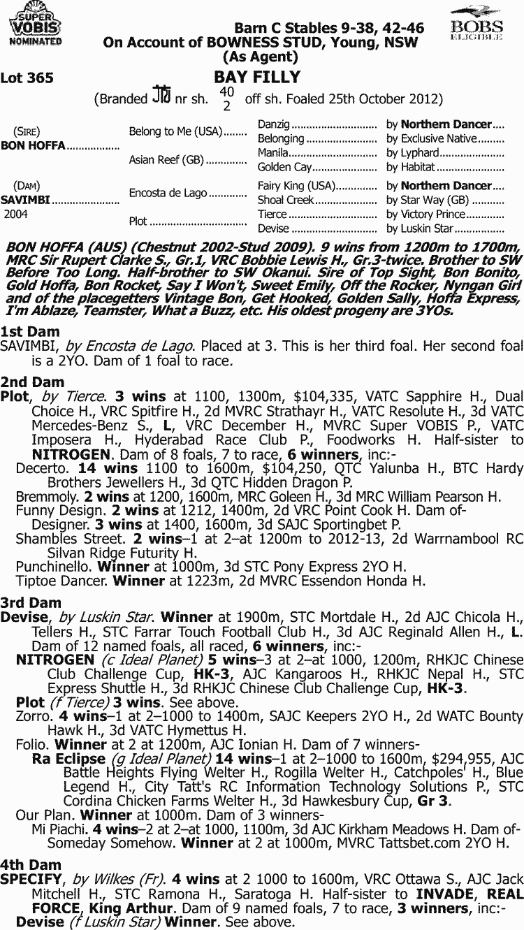 Hoff's Off Thoroughbred Horse Profile - Next Race, Form, Stats, News ...