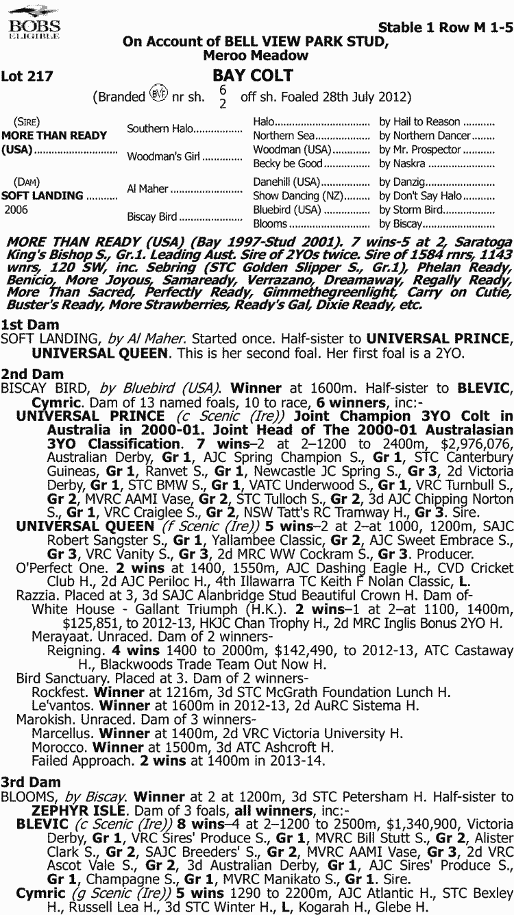 Dark Moon Rising Thoroughbred Horse Profile - Next Race, Form, Stats ...