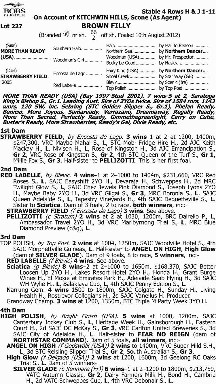 Aunt Mimi Thoroughbred Horse Profile - Next Race, Form, Stats, News ...