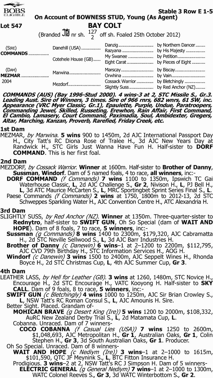 Frogmarch Thoroughbred Horse Profile - Next Race, Form, Stats, News ...