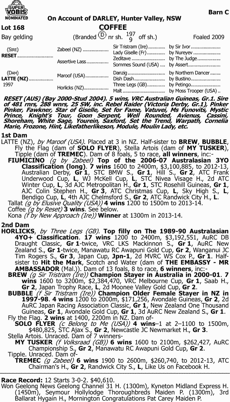Coffee Thoroughbred Horse Profile - Next Race, Form, Stats, News ...